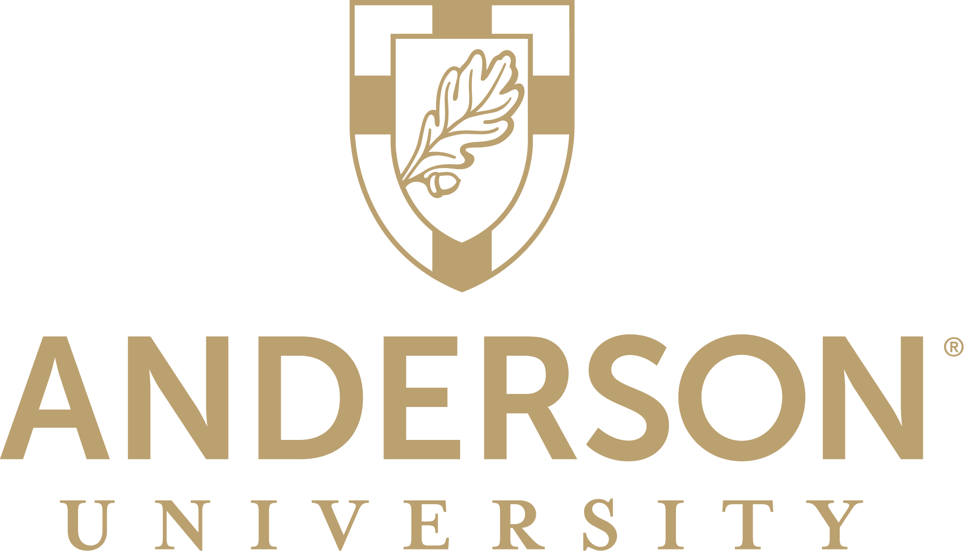 Parking - Anderson University